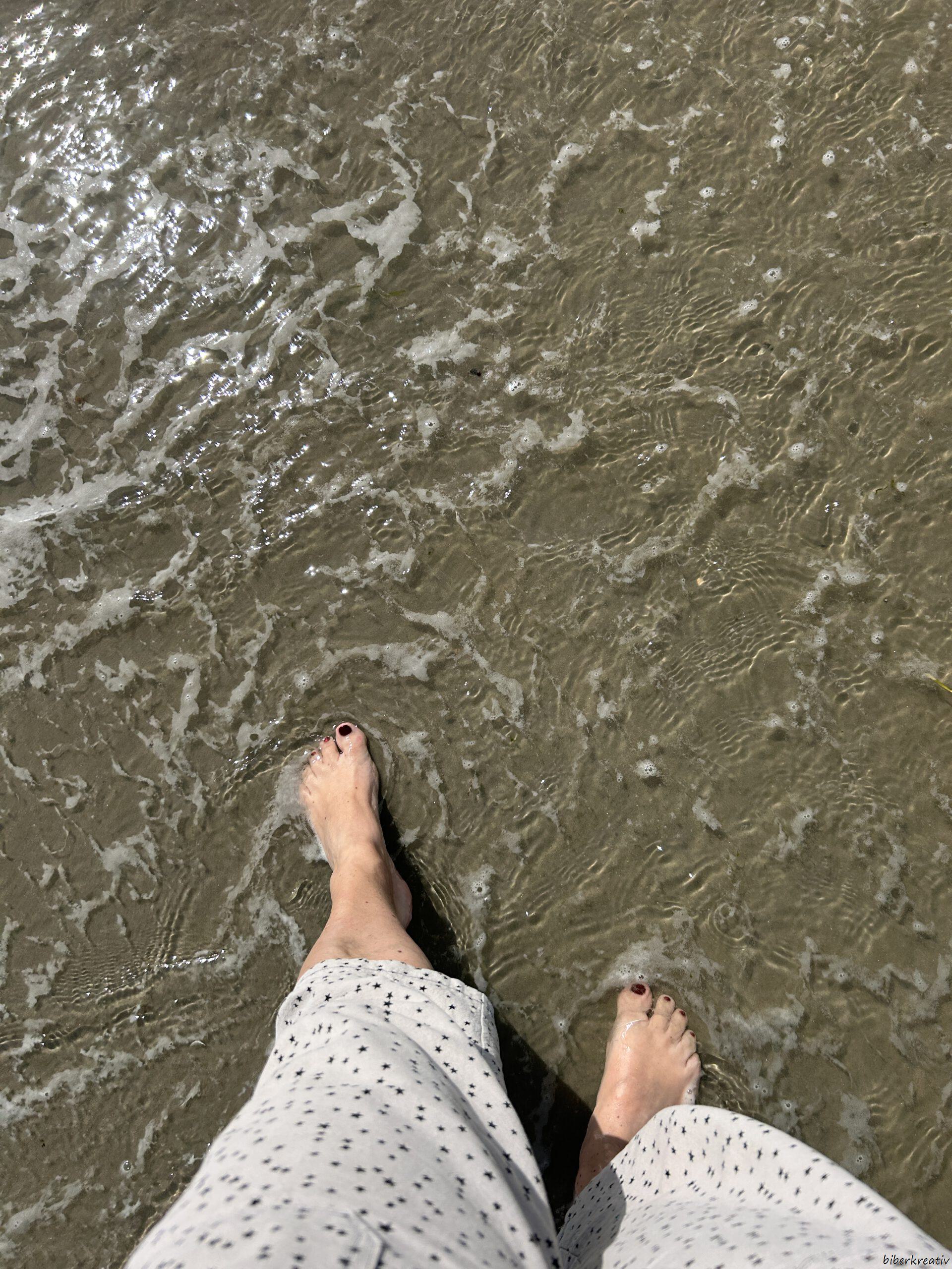 Niwibo sucht … 25 für 2025 – biberkreativ